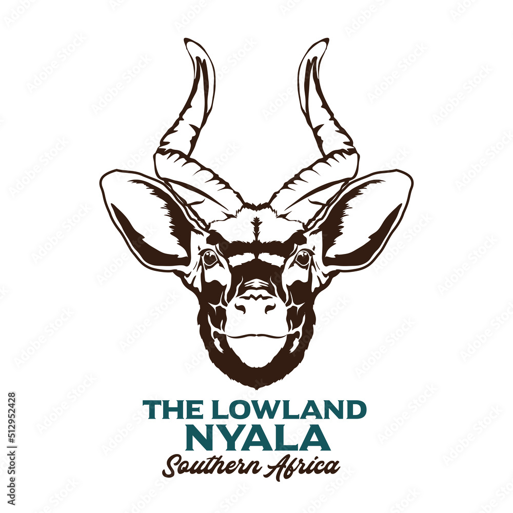 Nyala face vector illustration in hand drawn style, perfect for tshirt ...