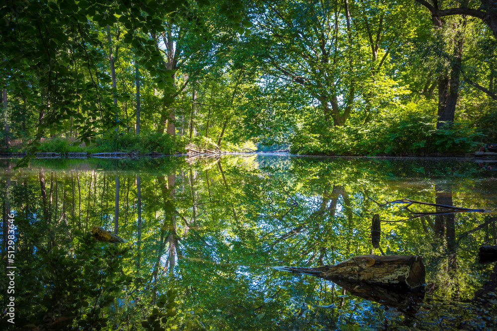 Beauty in nature at one of the lakes in the Tiergarten public park in ...