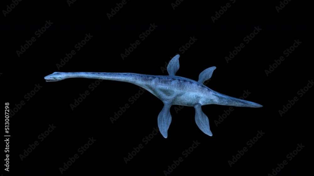 Elasmosaurus Dinosaur Top View 4K animation.3840×2160.10 Second Long ...