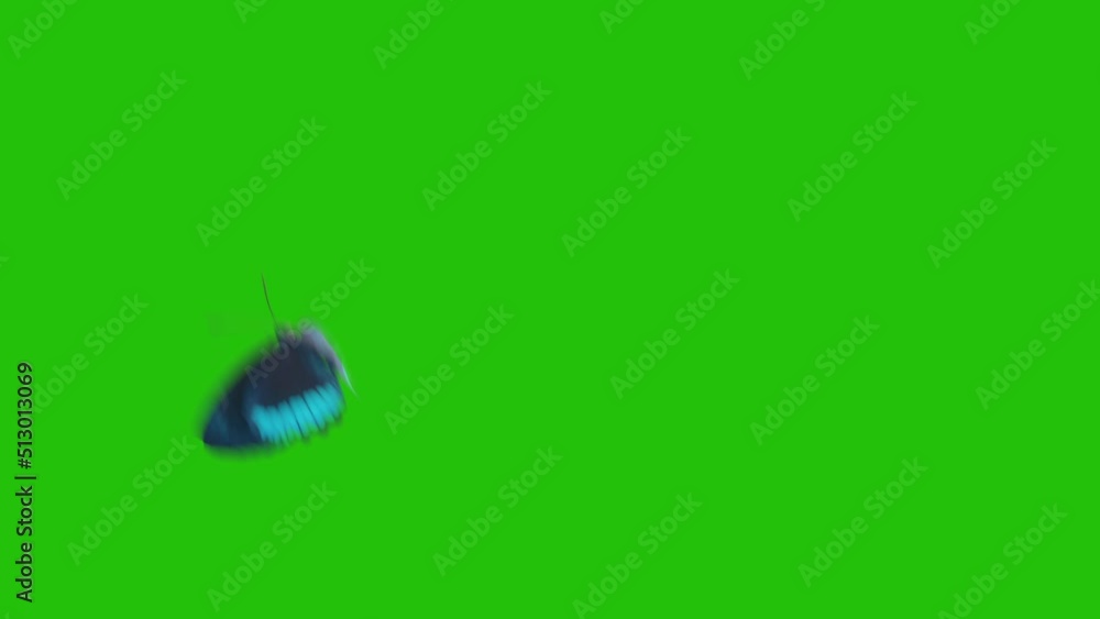 Blue butterfly flying alone on a green background. Butterfly with alpha ...