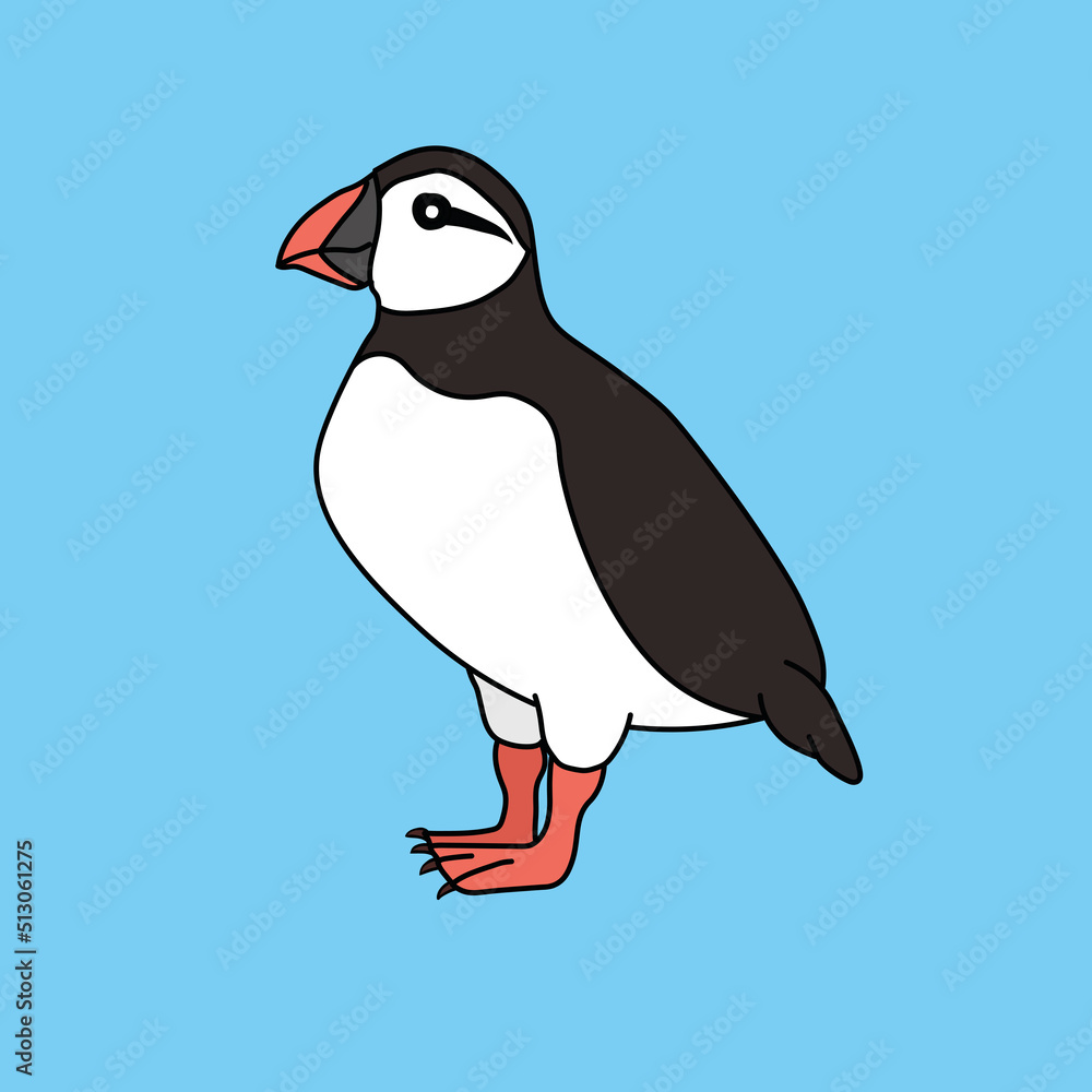 Cartoon hand drawn puffin seabird isolated on blue background. Flat ...