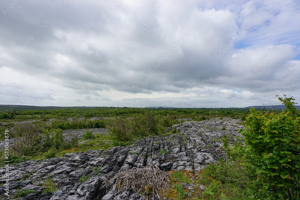 Burren National Park, Co. Clare, Ireland: The Burren (“rocky place ...