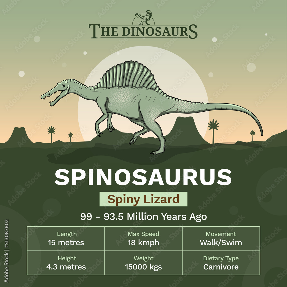 Description and Physical Characteristics of Spinosaurus - Vector ...