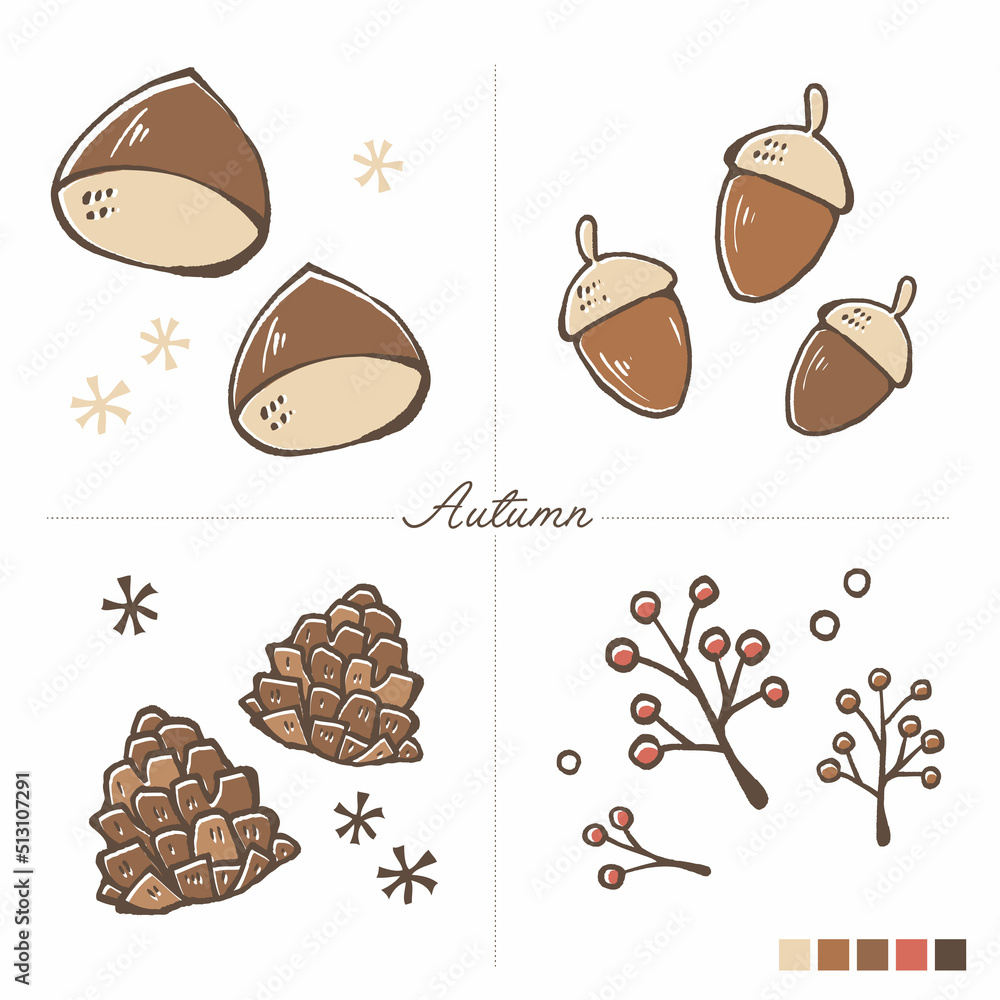 手書き秋モチーフ素材 木の実 Stock Vector Adobe Stock