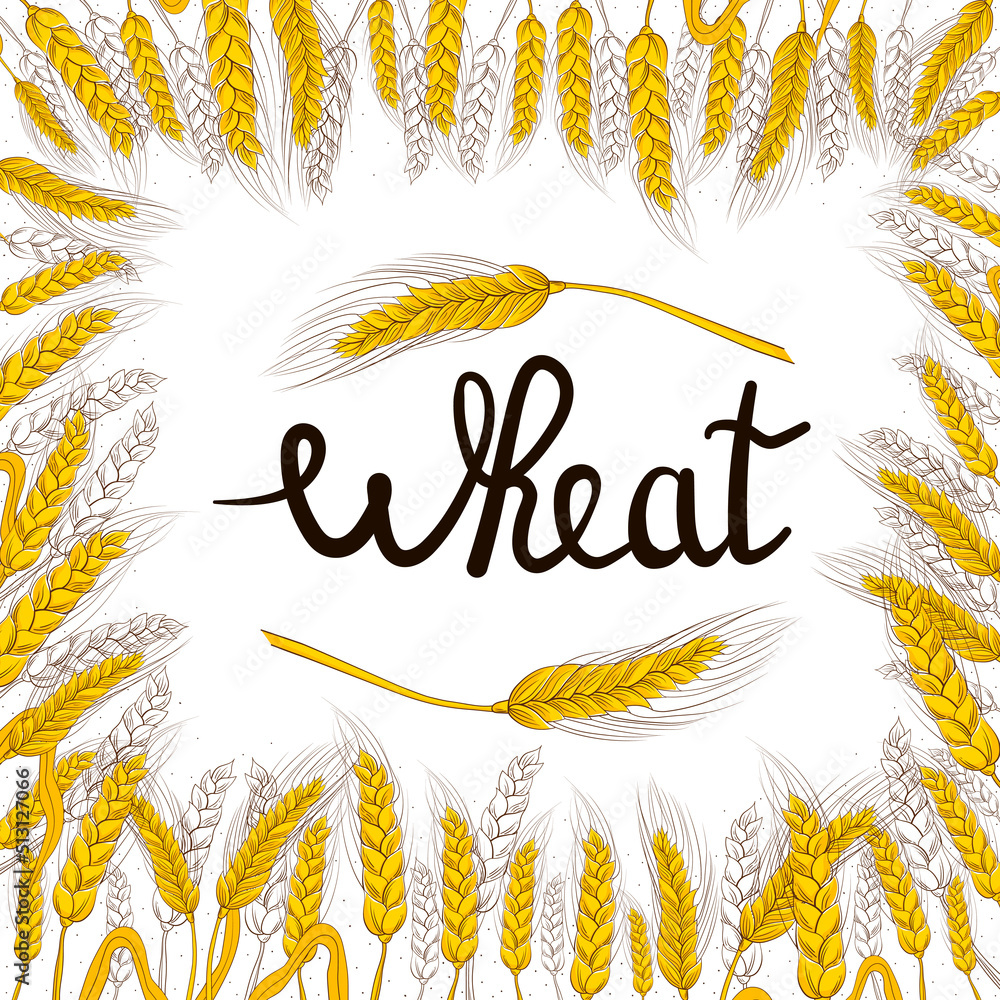 Wheat harvest in hand drawn style with lettering for bakery shop or ...
