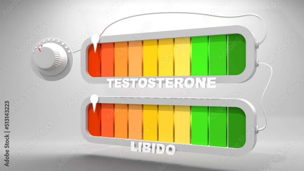 Sexual activity and testosterone meter scales. The libido level ...