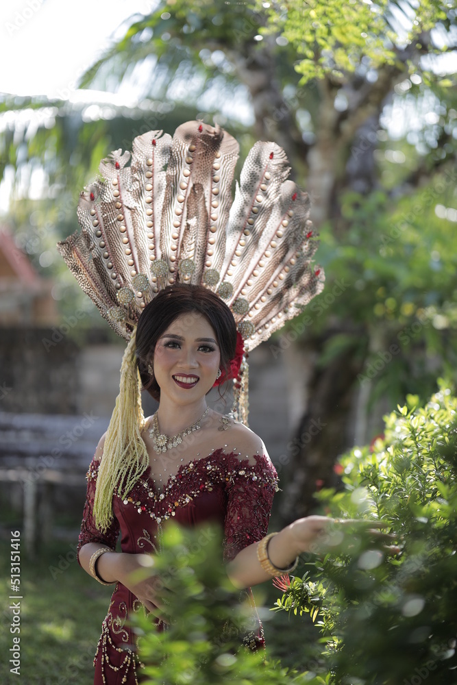 Portrait of a Woman in a traditional dress of Borneo Dayak Tribe Stock ...
