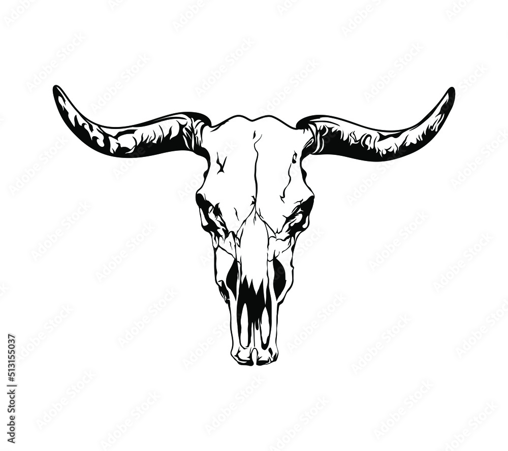 Buffalo skull - hand drawn vector illustration isolated on white ...