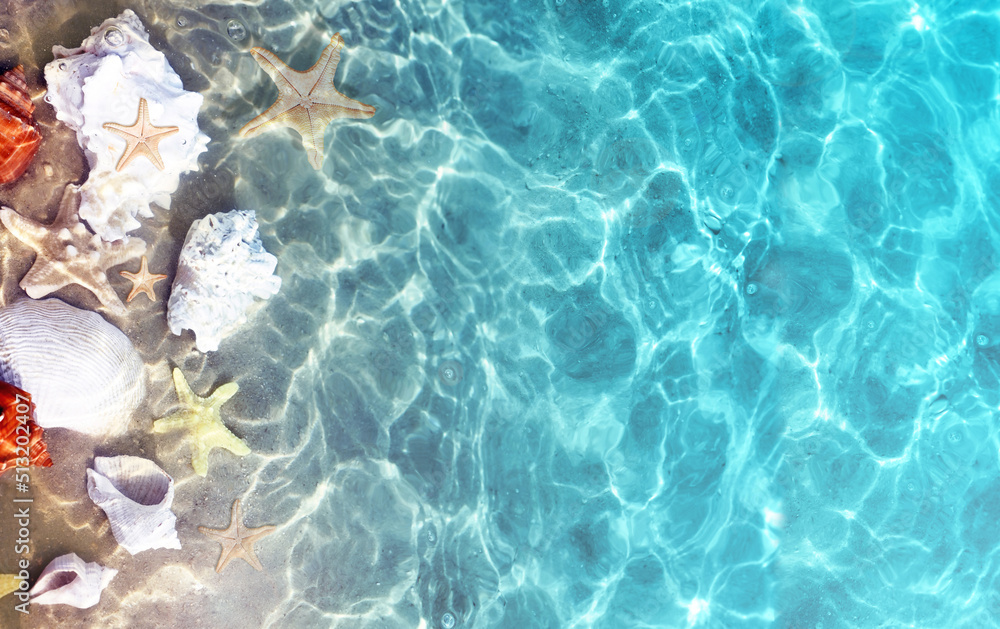Starfish and seashells on the summer beach in sea water. Summer blue ...