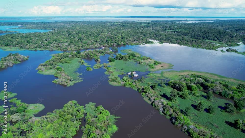Amazon Forest At Manaus Amazonas Brazil. Idyllic Background Summer ...