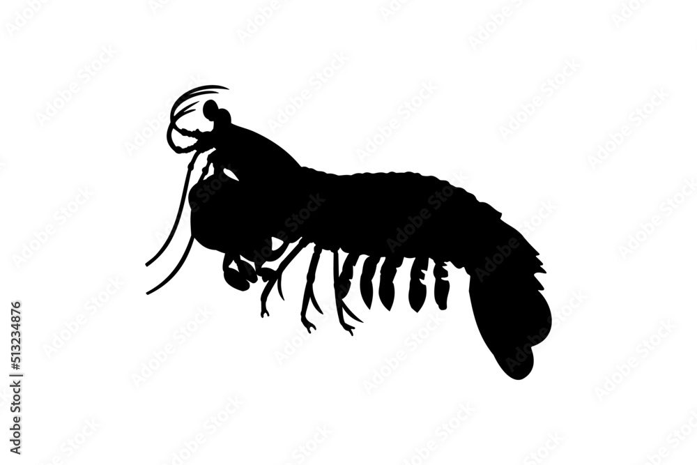 Mantis Shrimp Silhouette Vector Art. Best Mantis Shrimp Icon ... Mantis Shrimp Silhouette Vector Art. Best Mantis Shrimp Icon ...