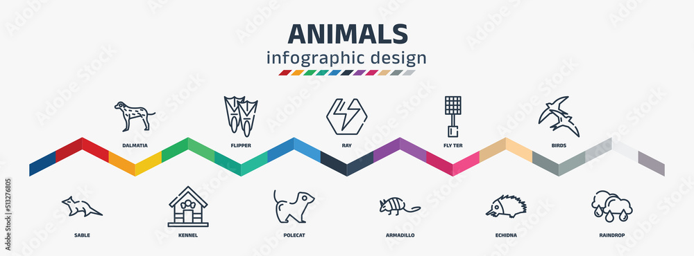 animals infographic design template with dalmatia, sable, flipper ...