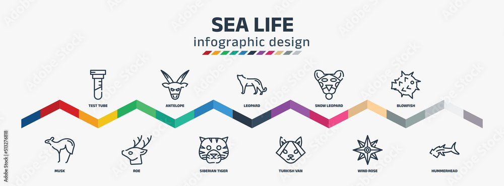 sea life infographic design template with test tube, musk, antelope ...