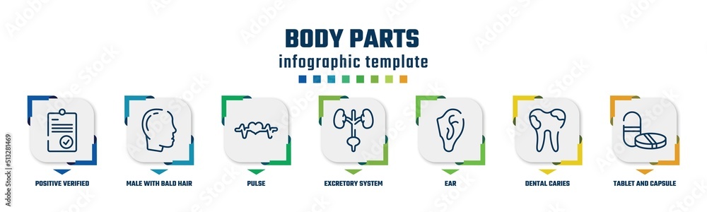 body parts concept infographic design template. included positive ...