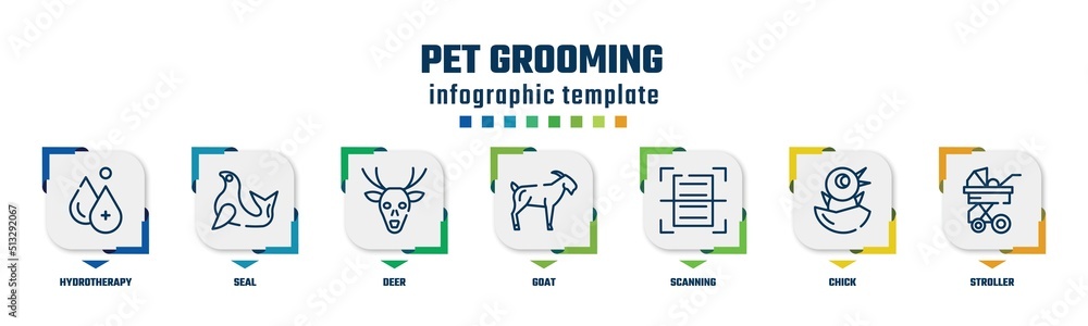 pet grooming concept infographic design template. included hydrotherapy ...