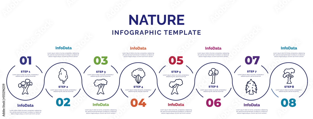 Vetor de infographic template with icons and 8 options or steps ...