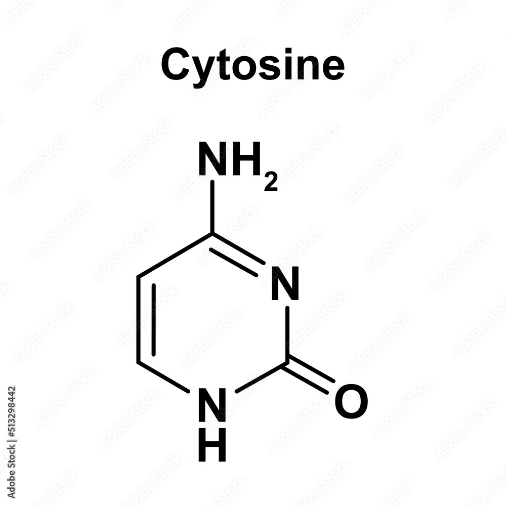 Chemical Illustration of Cytosine Molecule. Vector Illustration. Stock ...