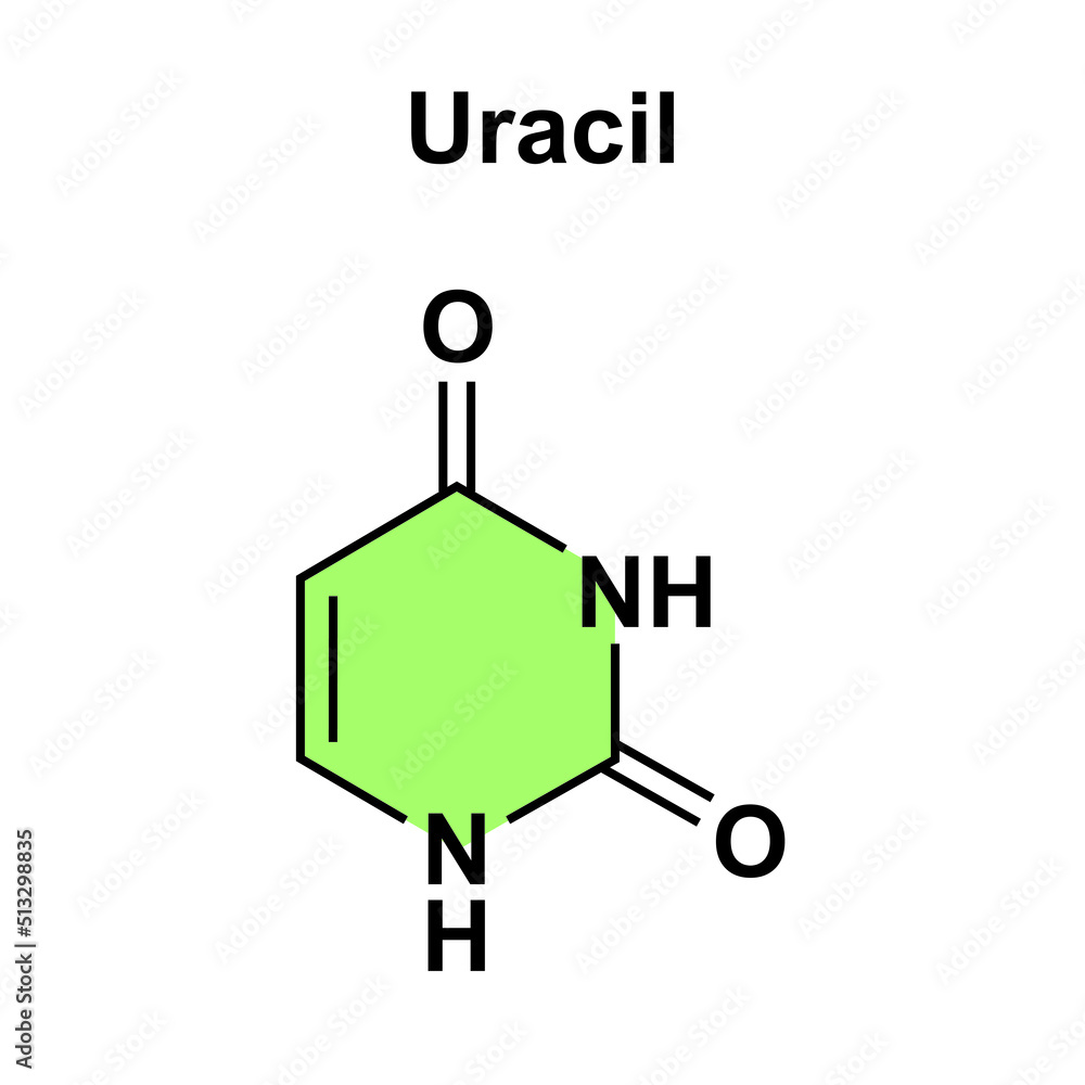 Chemical Illustration of Uracil Molecule. Vector Illustration. Stock ...