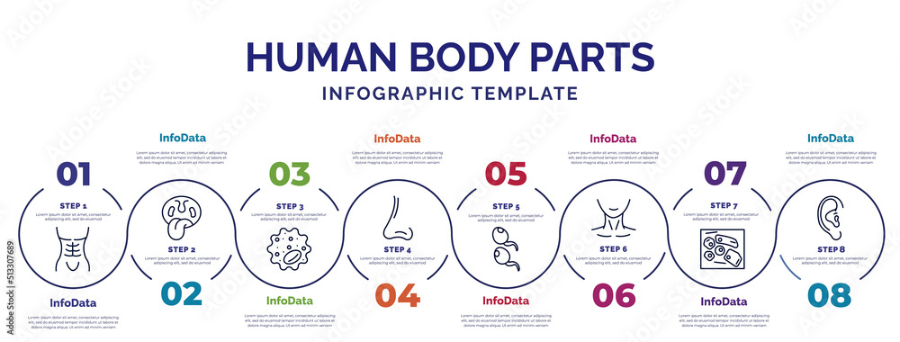 infographic template with icons and 8 options or steps. infographic for ...