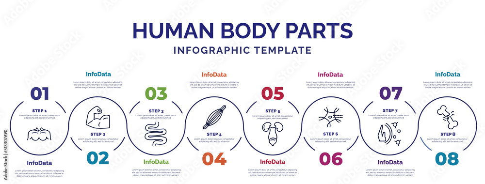 infographic template with icons and 8 options or steps. infographic for ...