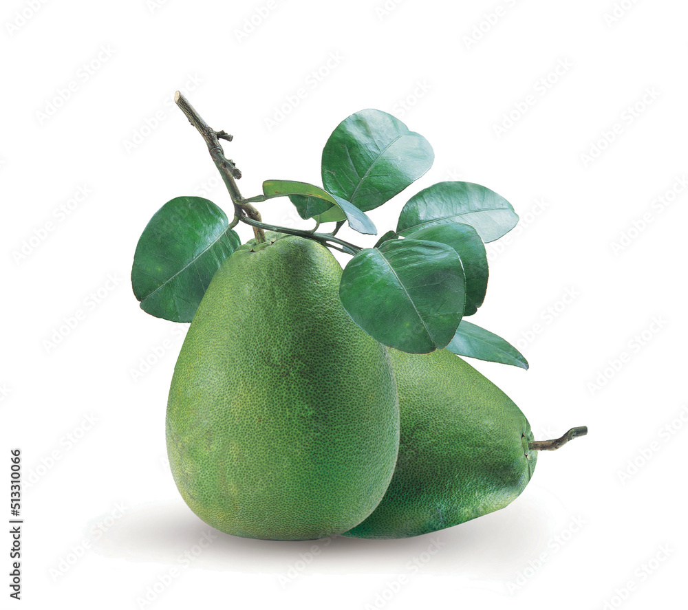 pomelo citrus fruit on white background with green leaves is highly ...