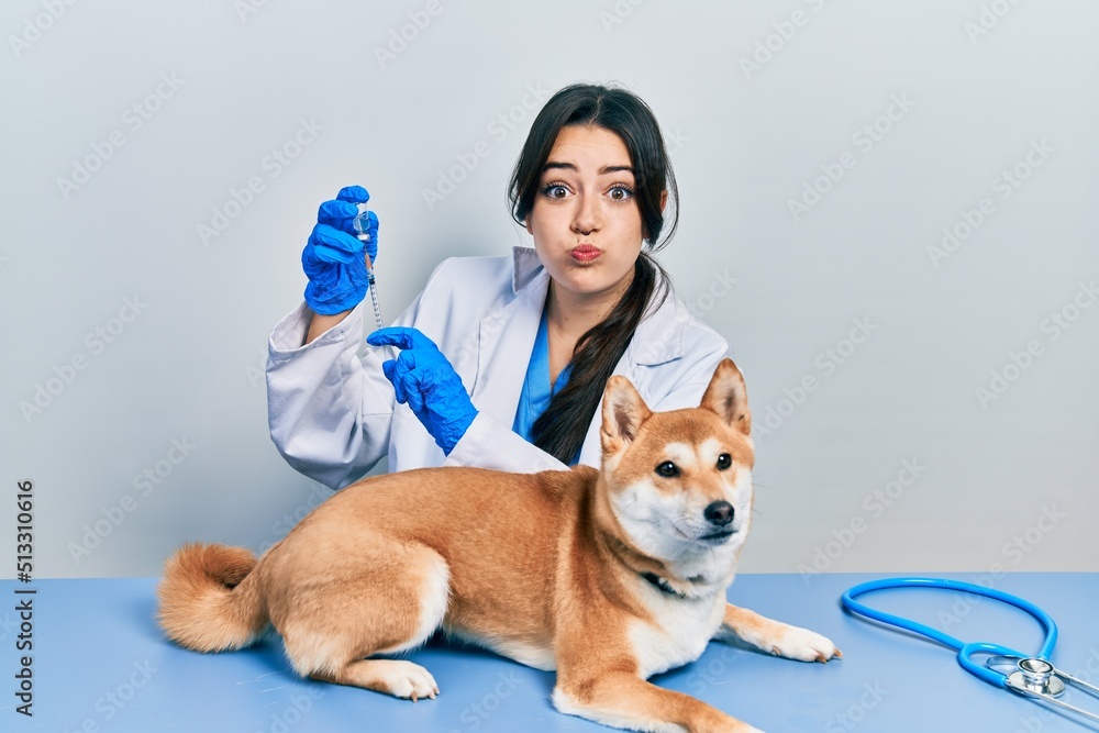 Beautiful hispanic veterinarian woman putting vaccine to puppy dog ...