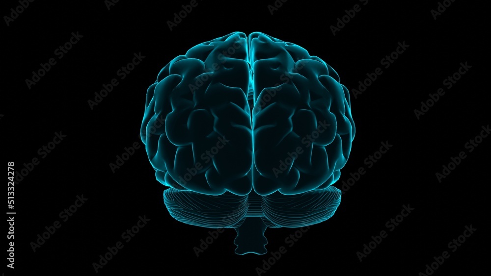 Human brain hologram. Transparent 3D model of human organ on black ...