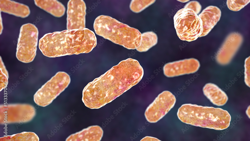 Enterobacter bacteria, gram-negative rod-shaped bacteria, part of ...