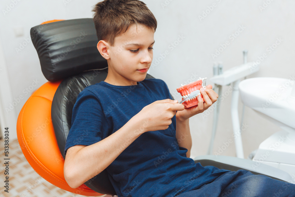 Happy little boy studying the anatomy of human teeth holding a model of ...