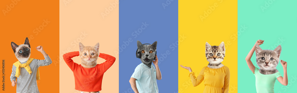 Set of funny cats with human bodies on colorful background Stock Photo ...
