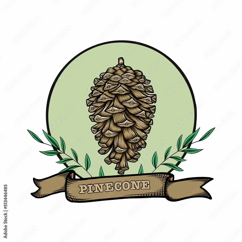 Pine cone hand drawn vintage logo design vector Stock Vector | Adobe Stock