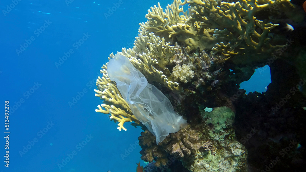 Plastic pollution of the Ocean, a discarded wtite plastic bag on ...