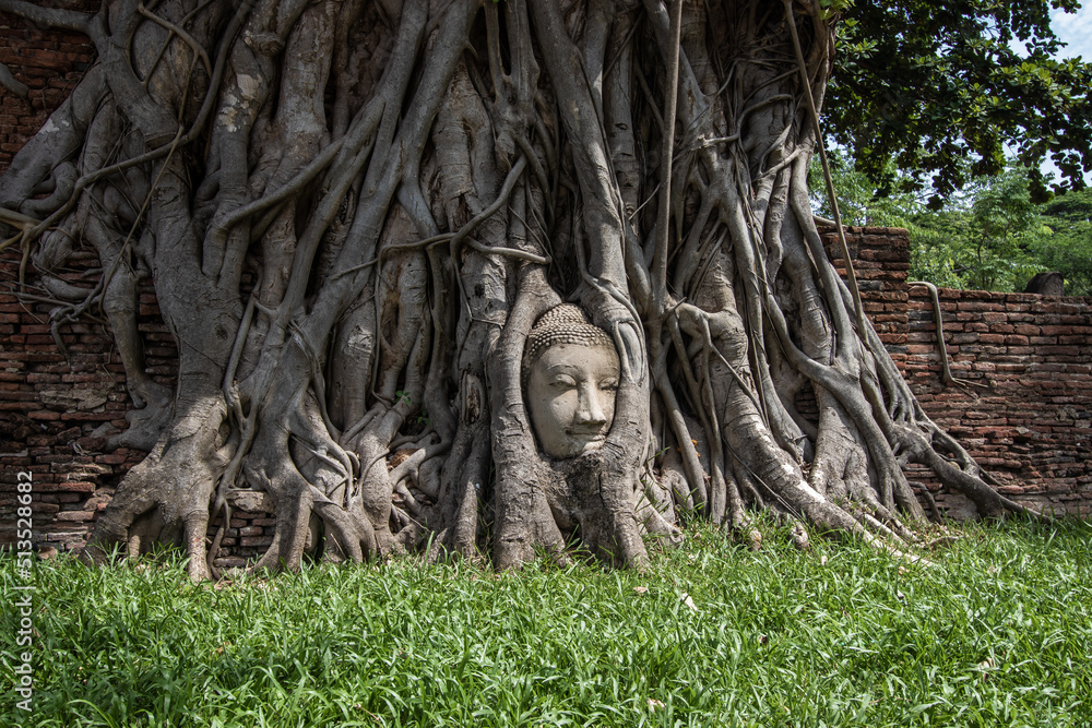 Ayutthaya Province,Thailand on May22,2020:Buddha's head in Bodhi tree ...