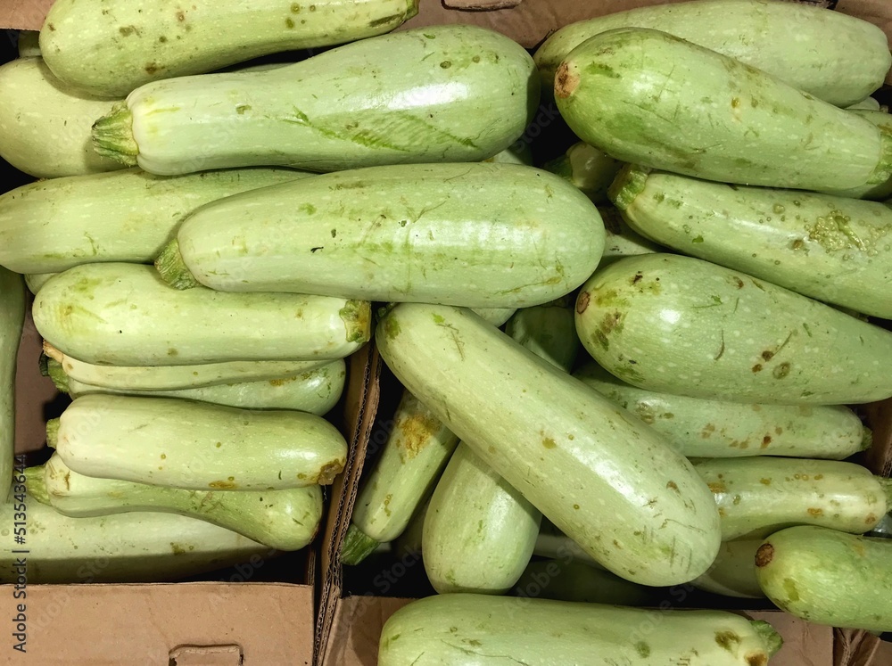 Stock photo of fresh zucchini in boxes, on the shelves. Healthy green ...