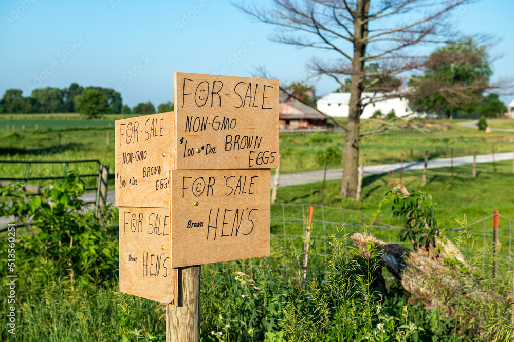 Rural, farm produce signs advertising poultry products. Stock Photo ...