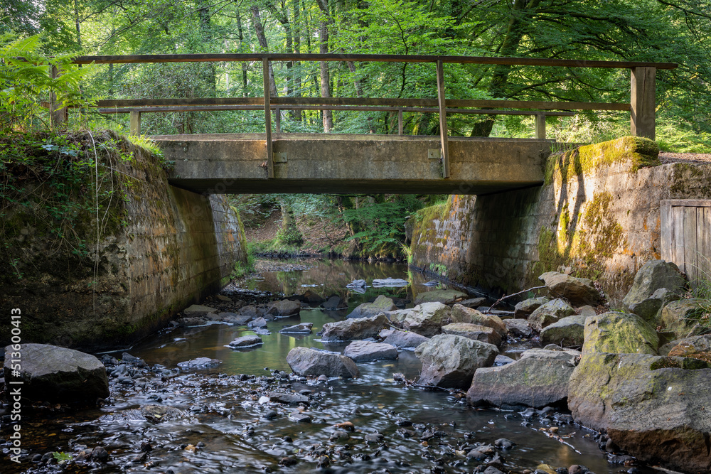 A small bridge over a river in the New Forest, Hampshire, UK. It's ...
