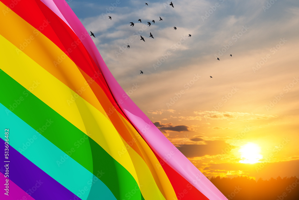 Waving LGBT pride flag on sunset sky with flying birds, rainbow flag ...