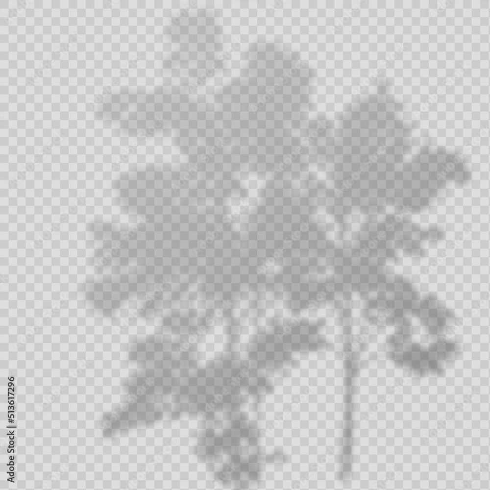 Realistic Vector transparent overlay blurred shadow of branch leaves ...