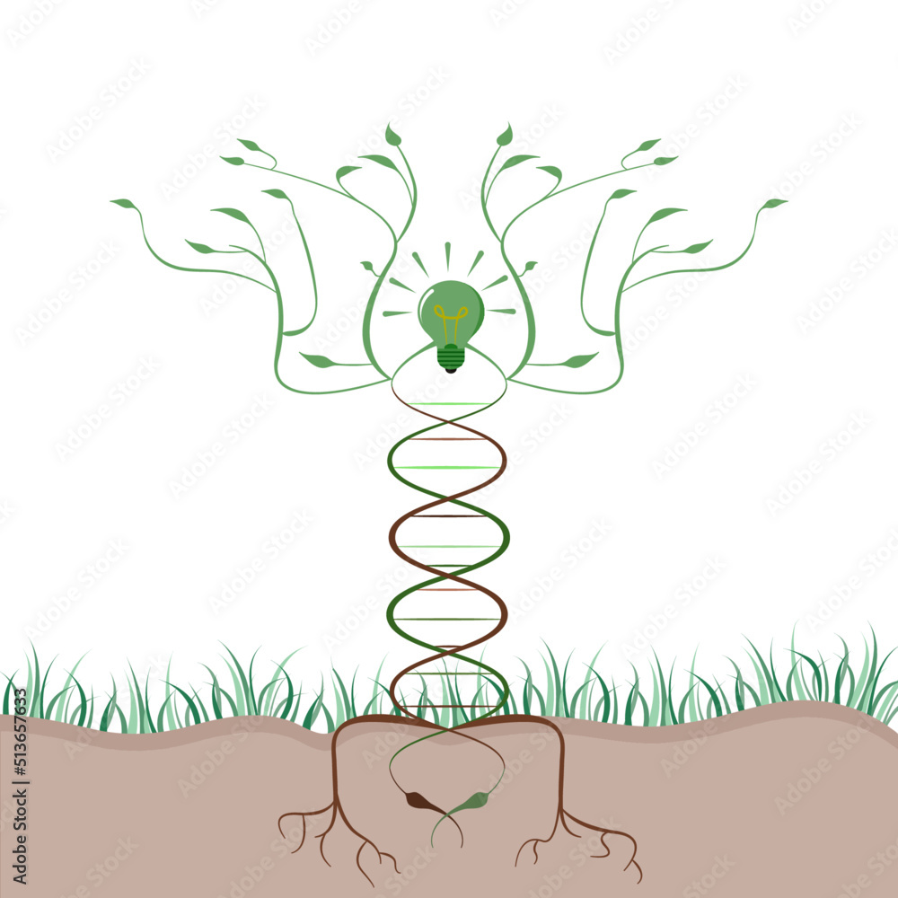 DNA tree growing from the earth's soil to grow green innovations and ...