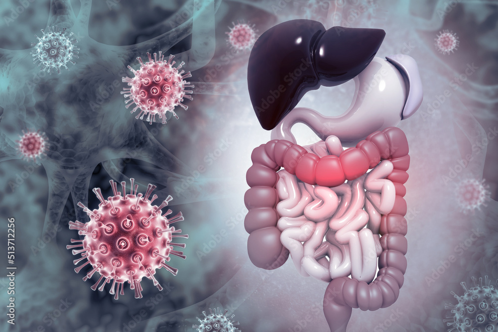 Human digestive system on science background. 3d illustration Stock ...