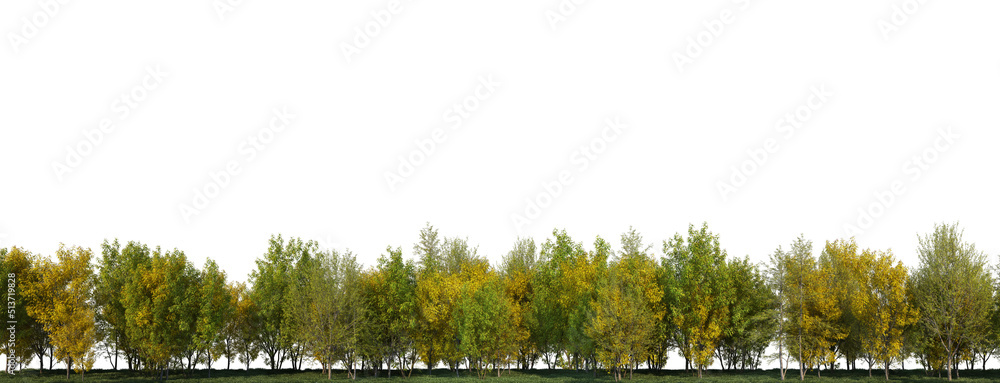 3d render forest with white background Stock Illustration | Adobe Stock