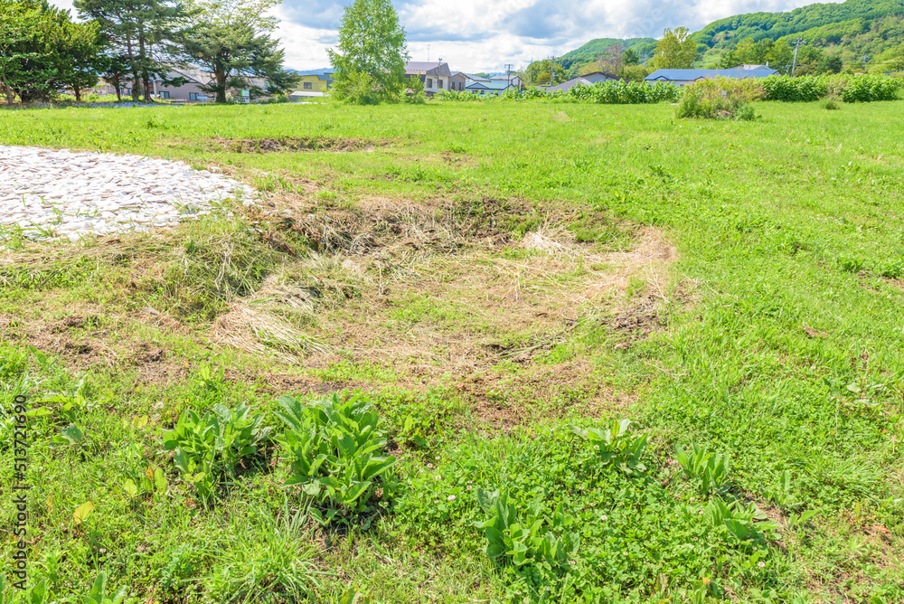 View of the Takasago Kaizuka (Takasago Burial Site), a part of the ...