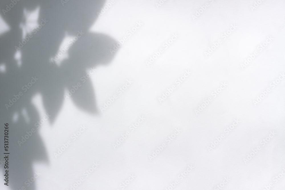 Abstract leaf shadow on wall background, Background with drop shadow ...