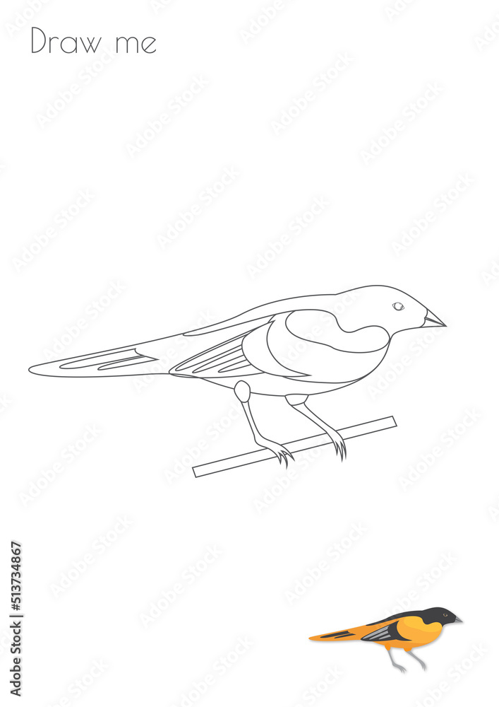 Simple Stroke Bird Wild Canary Silhouette Photo Drawing Skills For Kids ...