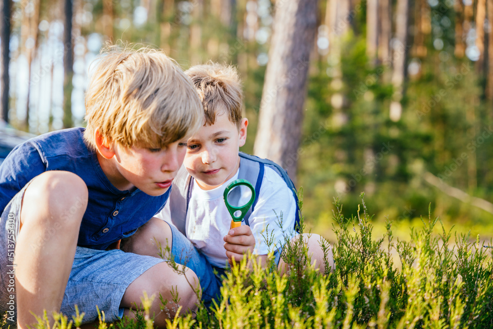 Two inquisitive little boy exploring the woods with a magnifying glass ...