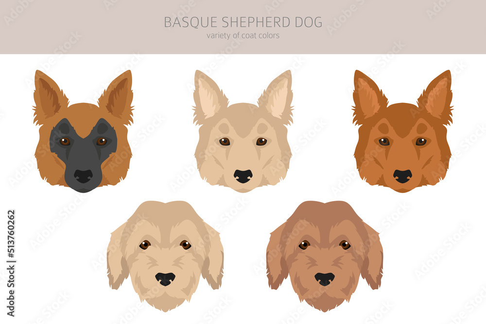Are Basque Shepherds Good Dogs