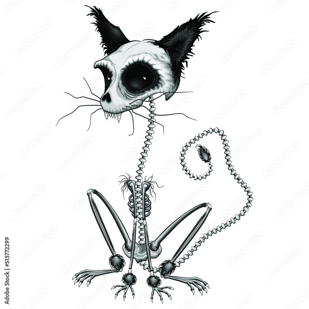 Cat Skeleton Creepy Halloween Character Vector illustration isolated on ...