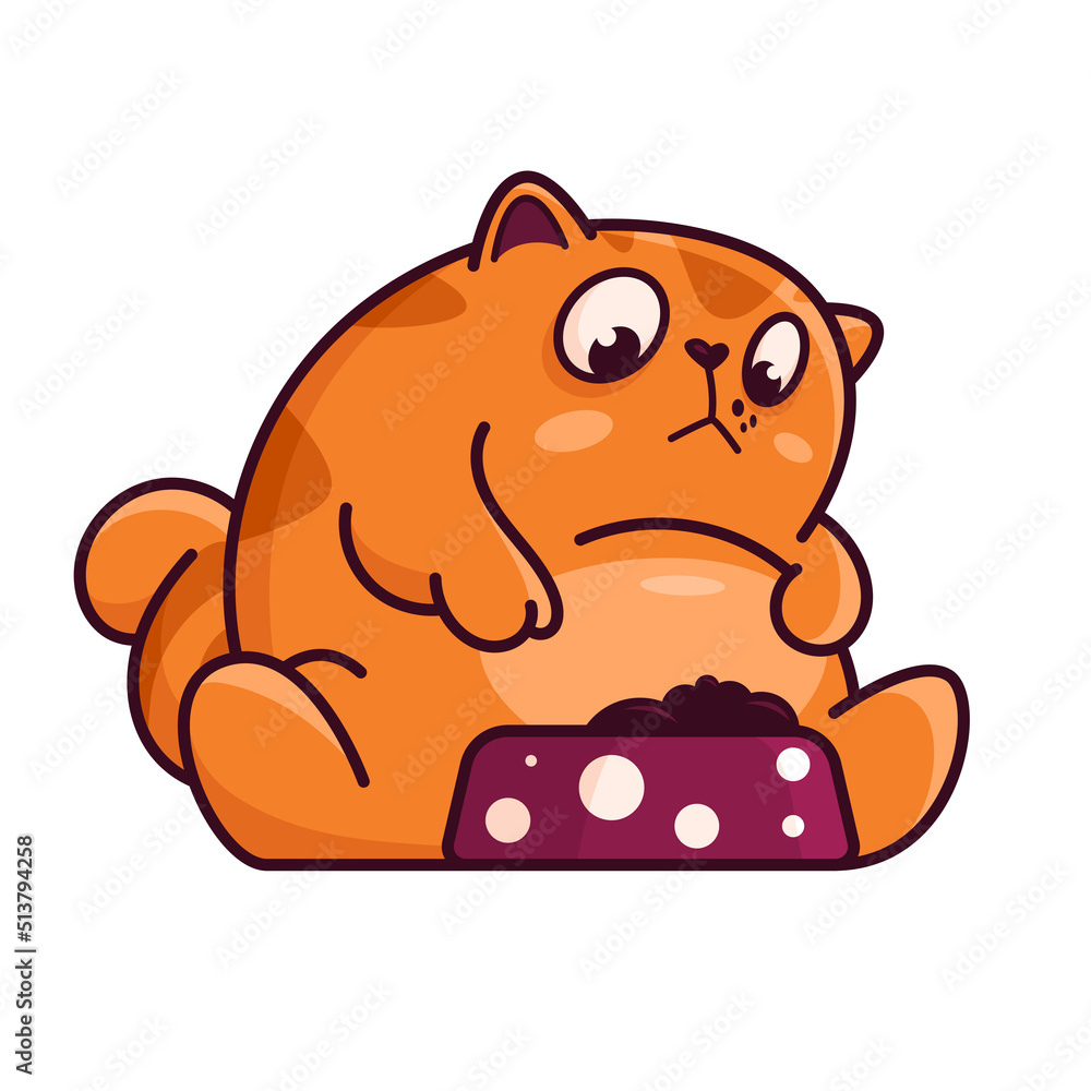 Cute red cat looks into a bowl of food. Shows emotions, where is the ...