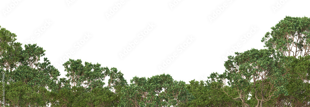 3d render forest with white background Stock Illustration | Adobe Stock