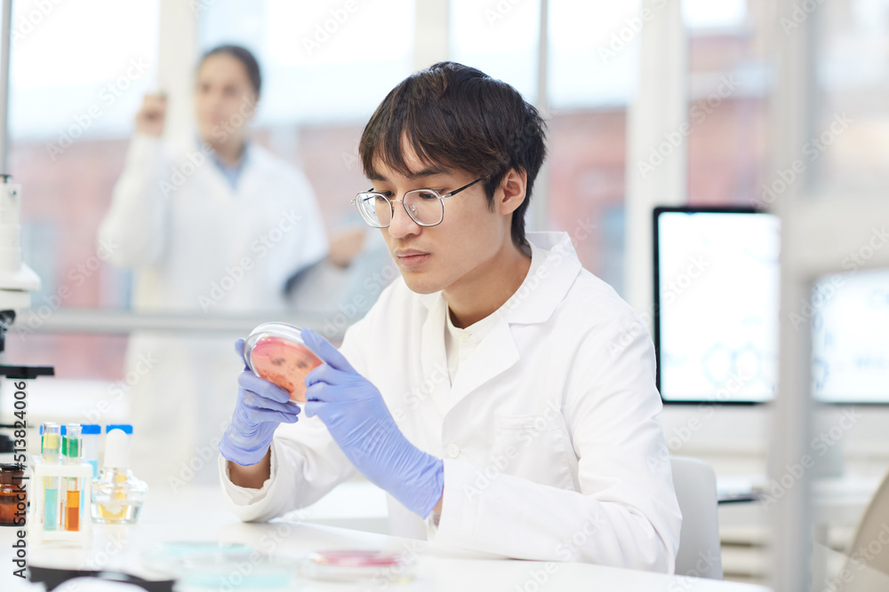 Serious young Asian microbiologist in glasses focused on test sample in ...